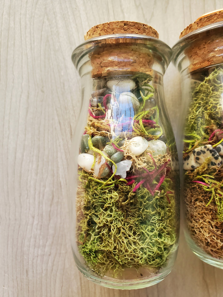 Large Crystal Terrarium Jars (Sold Separately) – Mystic Earth
