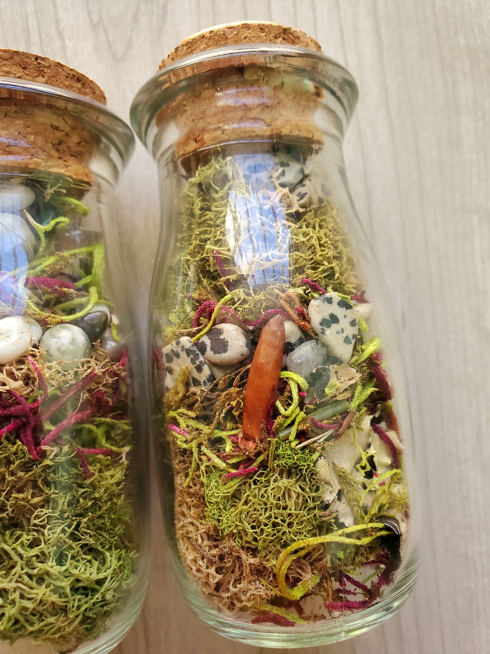 Large Crystal Terrarium Jars (Sold Separately) – Mystic Earth